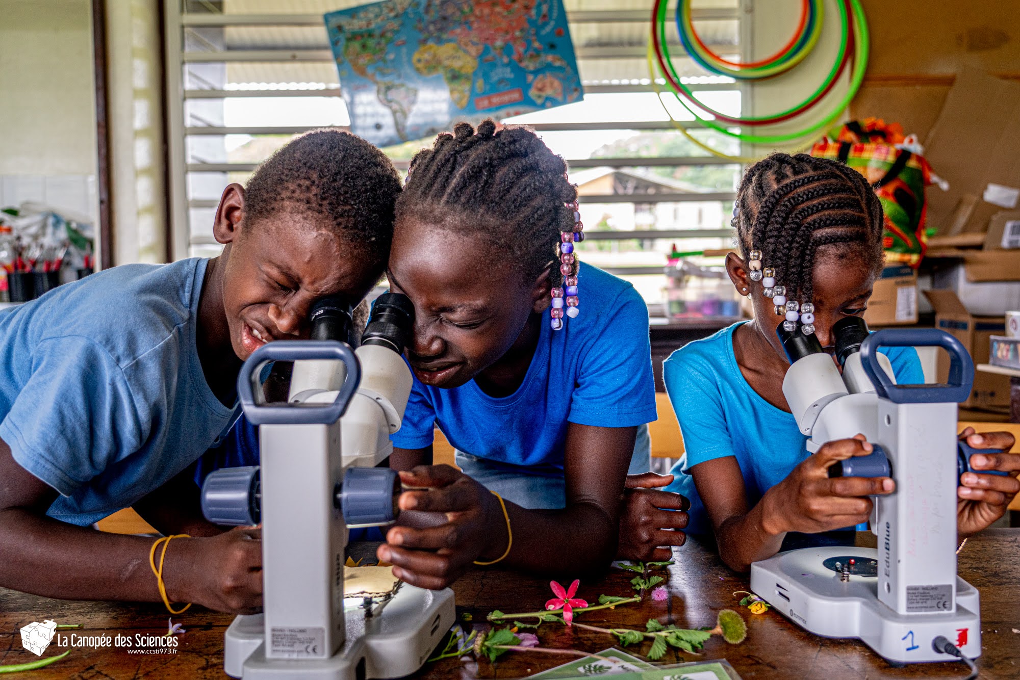 L'herbier au fil du fleuve | Herbier de Guyane