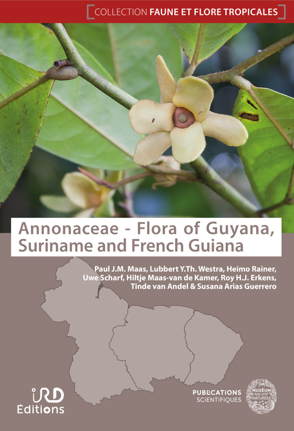 Découvrir la Diversité des Annonaceae du plateau des Guyanes : | Herbier de Guyane